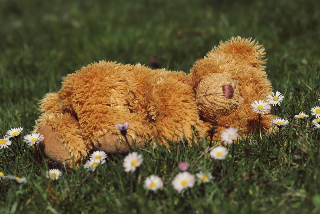 Your Kid's Teddy Bear is About to Have the Best Night Ever - The Texas ...