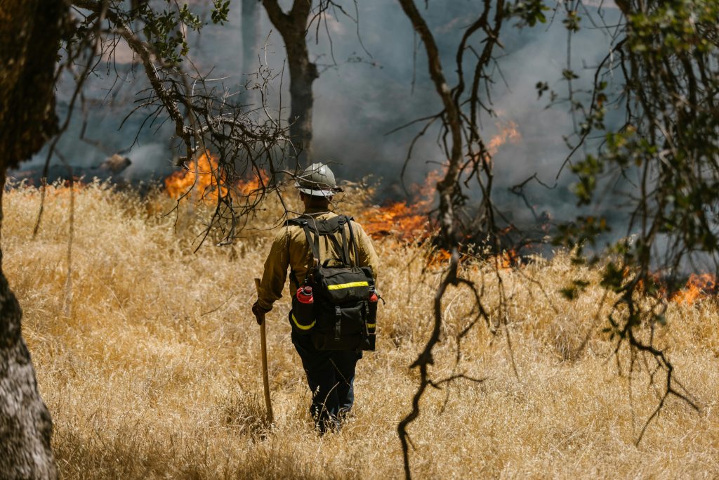 Free Wildfire Training from Your Couch: National Fire Academy Opens ...