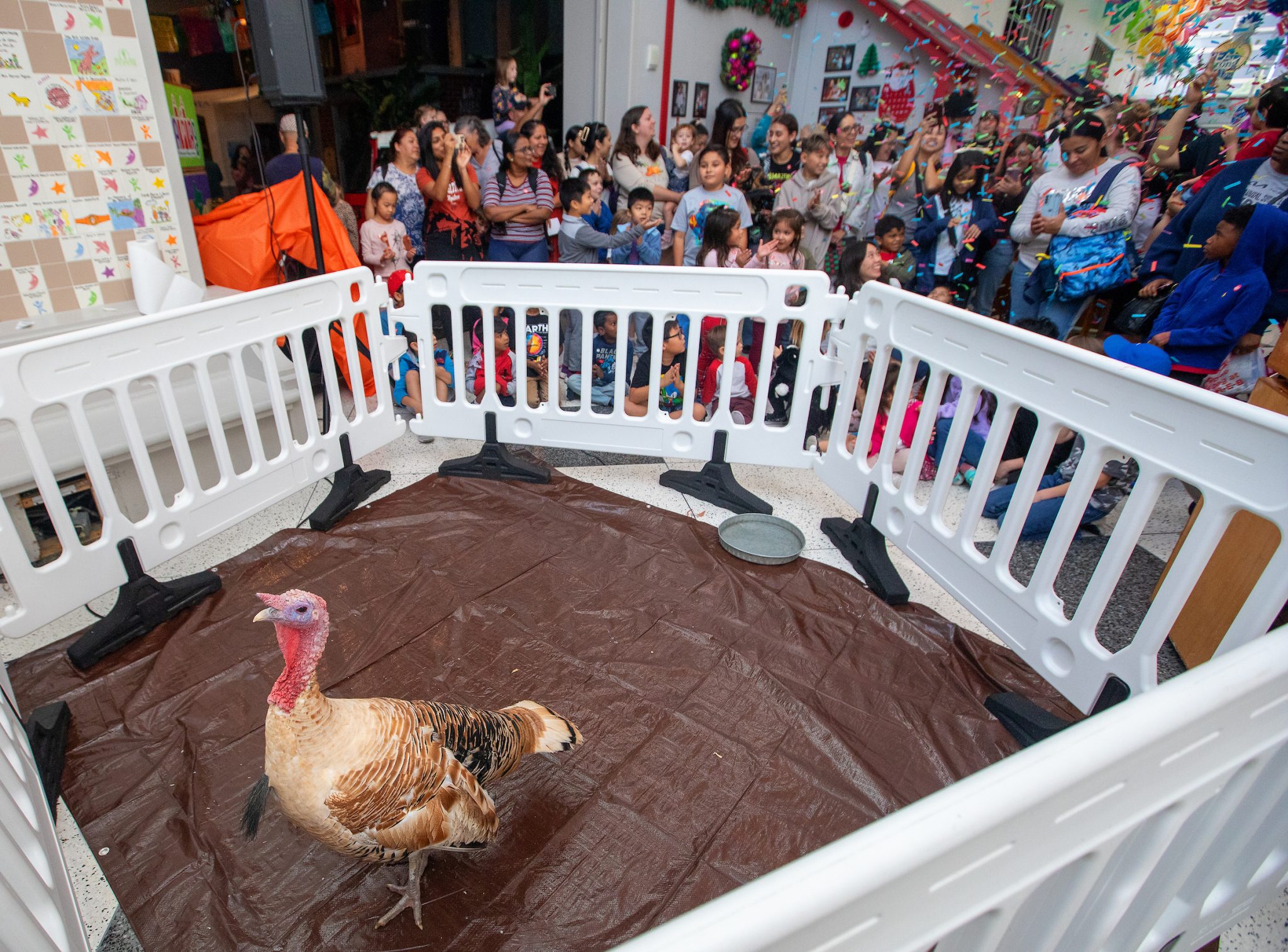 Get Your Kids Off The Couch For This Thanksgiving Week Turkey Takeover ...